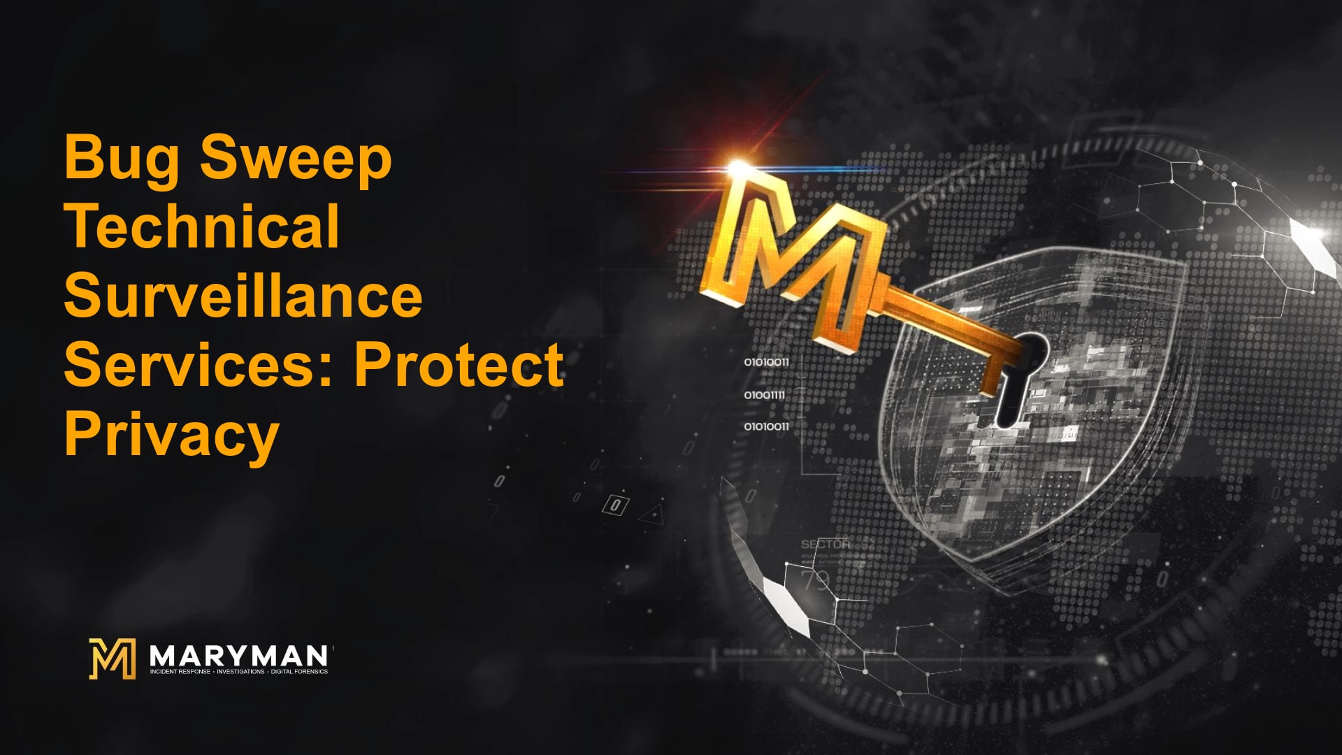 Bug Sweep Technical Surveillance Services: Protect Privacy