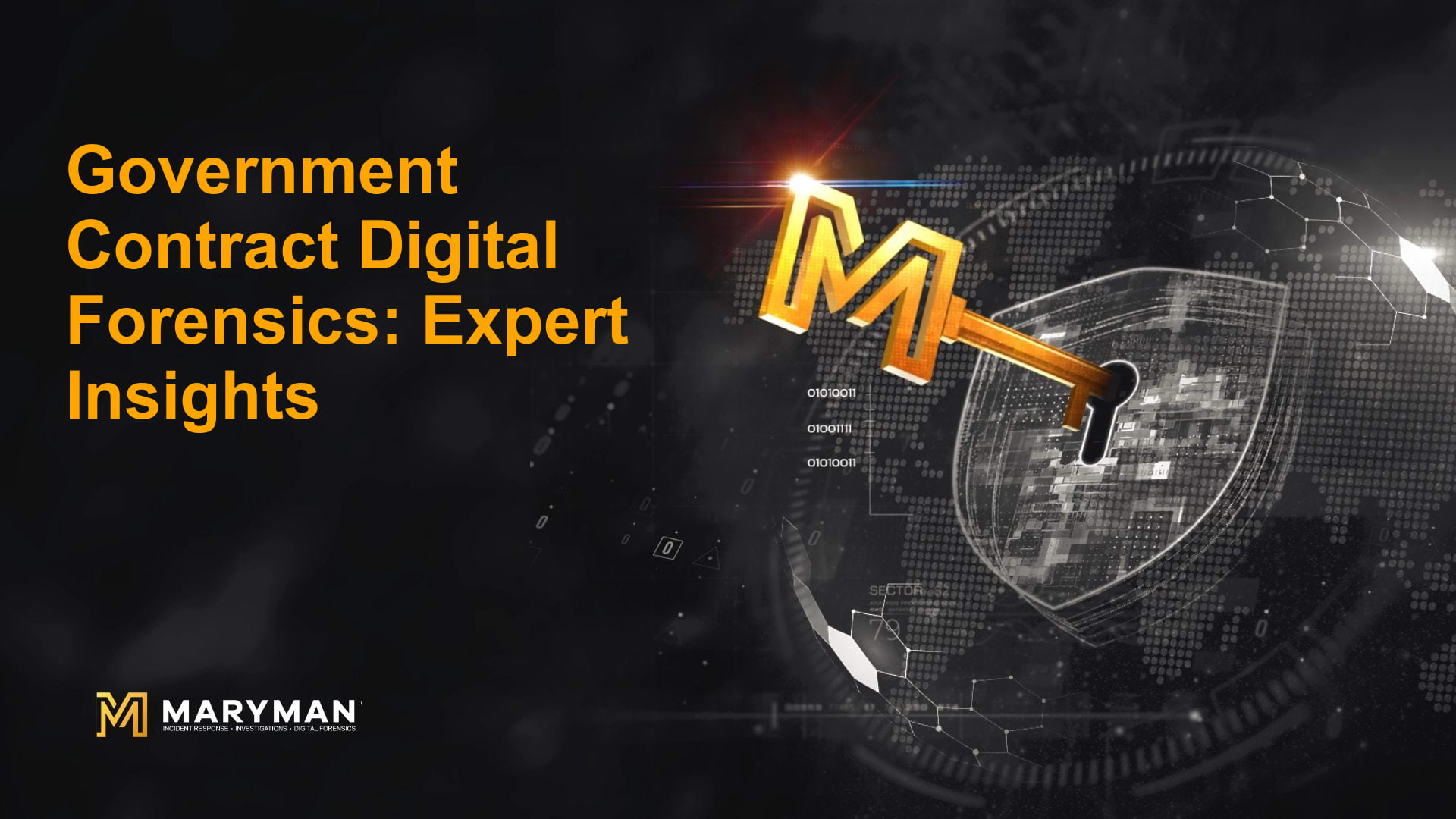 Government Contract Digital Forensics: Expert Insights