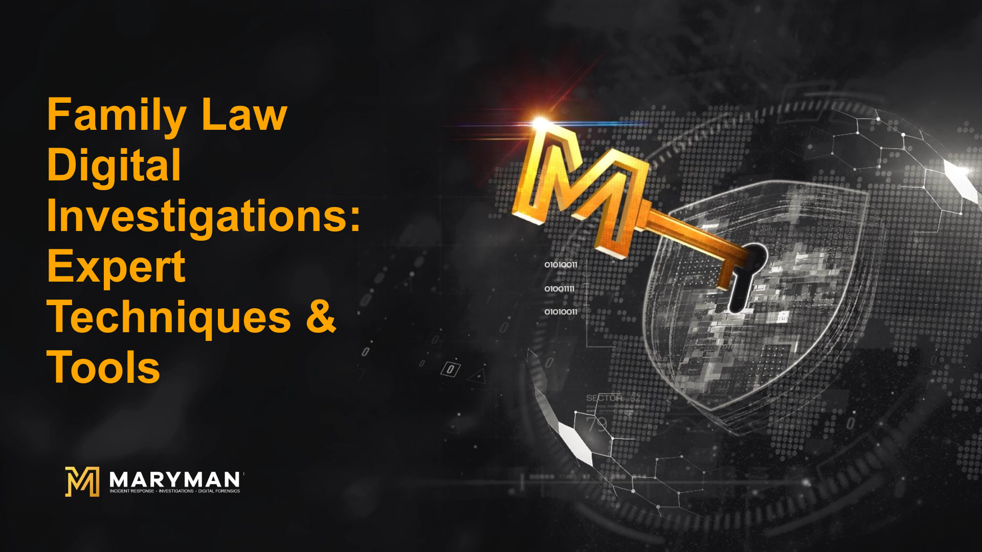 Family Law Digital Investigations: Expert Techniques & Tools